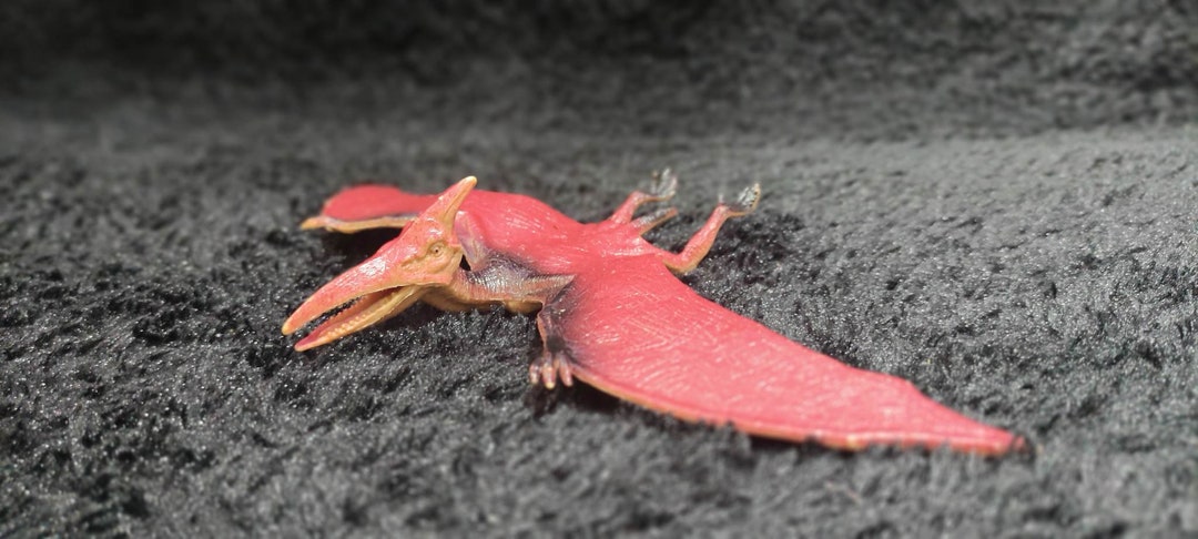 Dinosaur Pteranodon Toy - Etsy