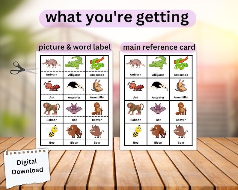Fun Animal Flashcards for Preschool, Printable Cards for Learning ...