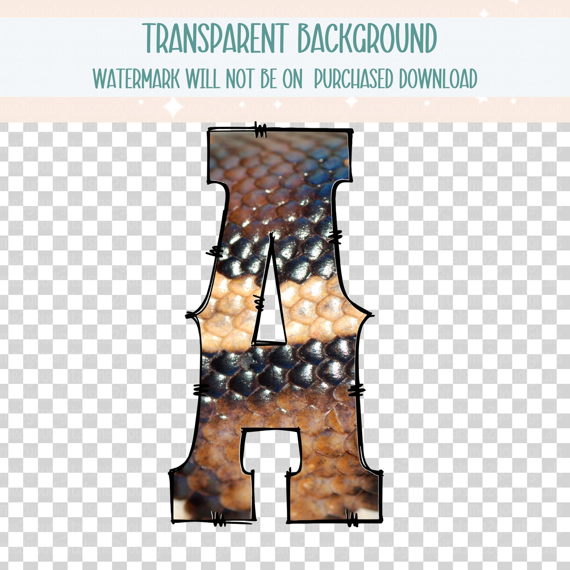 Snake Skin WESTERN DOODLE Alphabet & Numbers Set PNG - Etsy