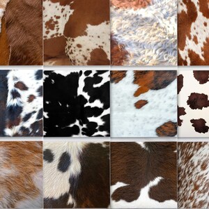 Cowhide Backgrounds Digital Paper - High Resolution - 12x12 ...