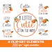 Little Cutie Clipart Set: Tangerine Baby Shower PNG (digital Download ...