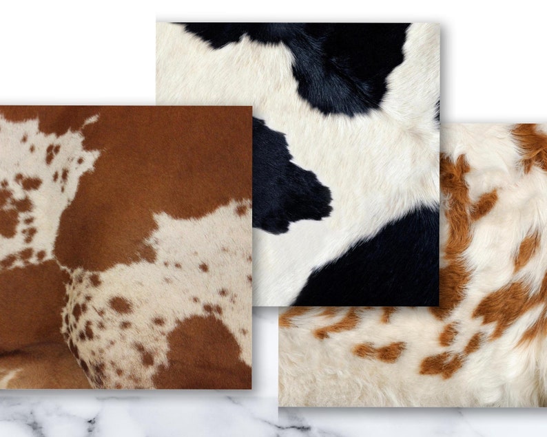 Cowhide Backgrounds Digital Paper High Resolution 12x12 - Etsy