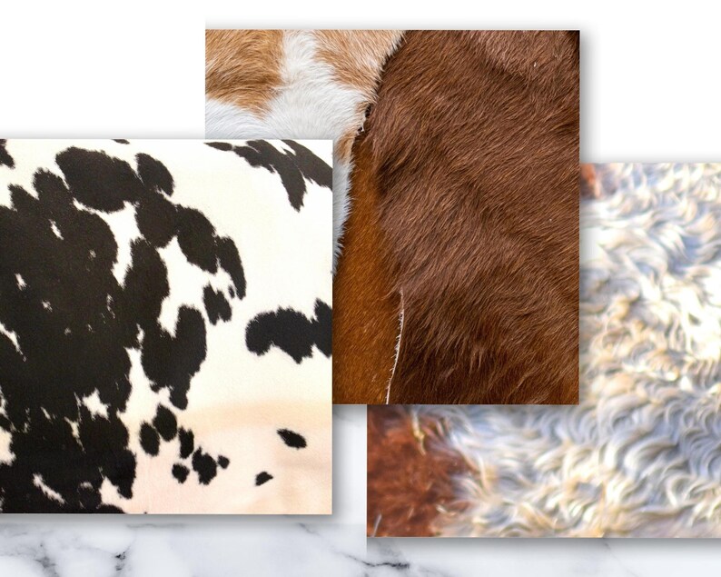Cowhide Backgrounds Digital Paper High Resolution 12x12 - Etsy