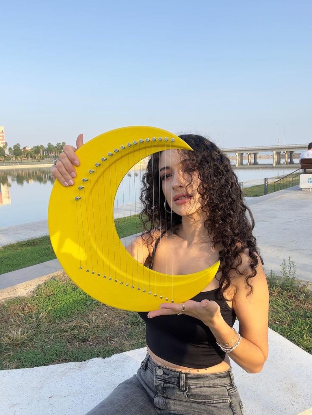 18 String Mega MOON LYRE ARP Professional Instrument Gift, Instruments ...