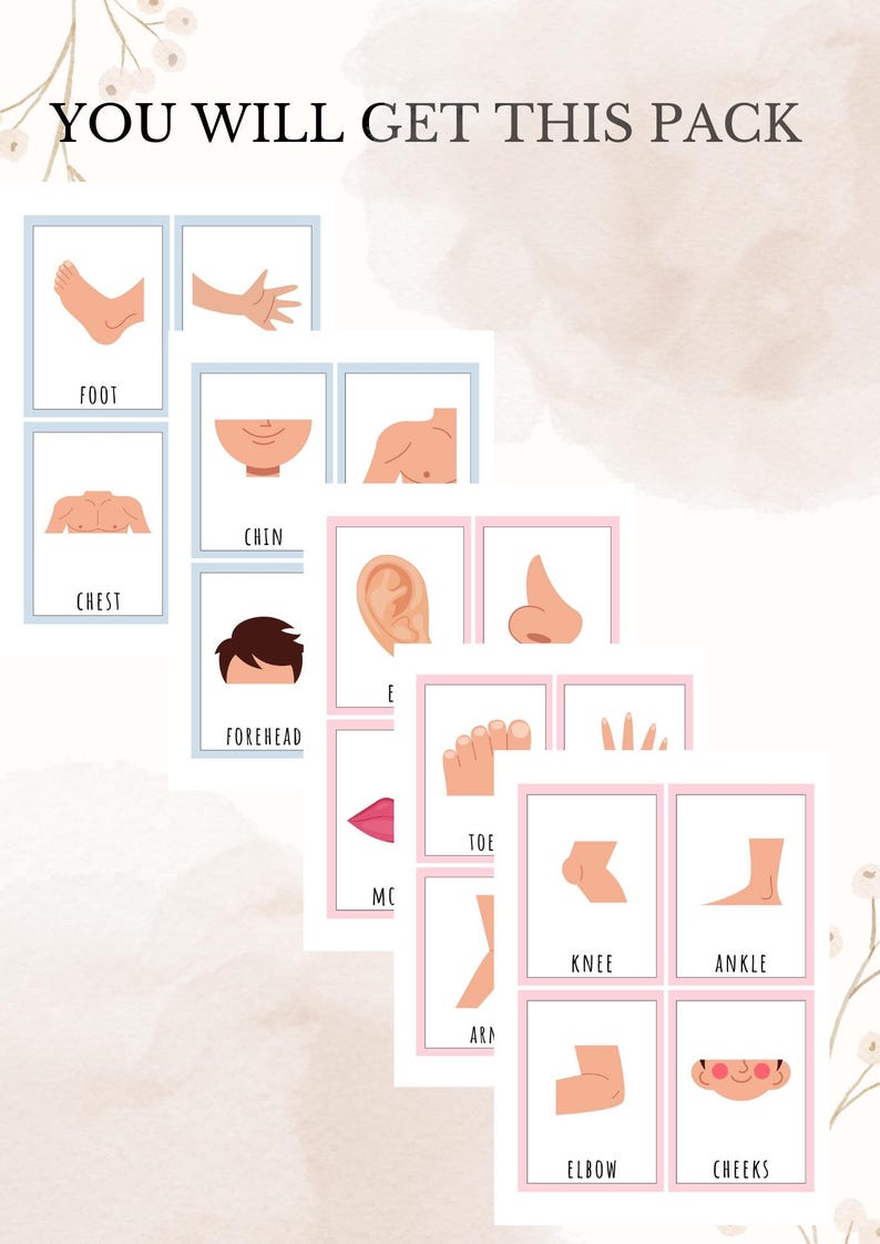 Body Parts Cards, Montessori Flashcards, Pre-school Cards, Rainbow ...