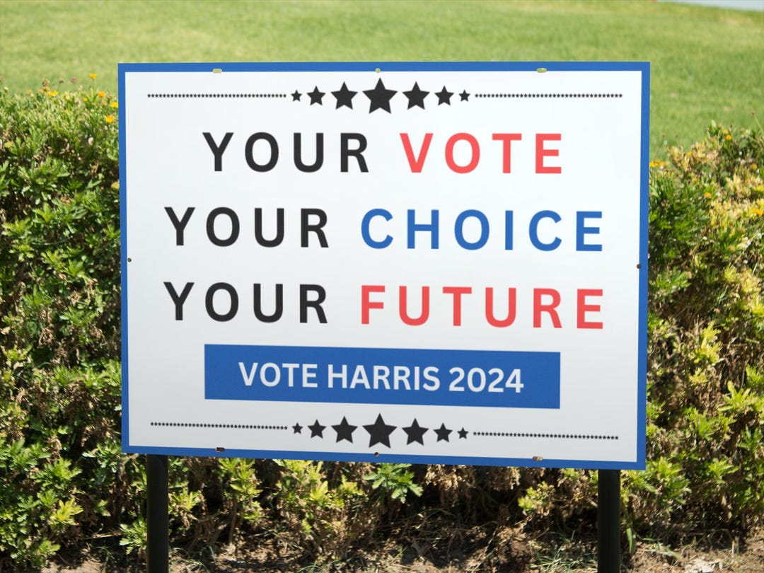 Kamala Harris 2024 Yard Sign democracy Starts With You Political ...