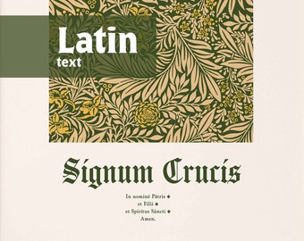 Ave Maria - Hail Mary Latin Catholic Prayer, Catholic Poster, Catholic ...