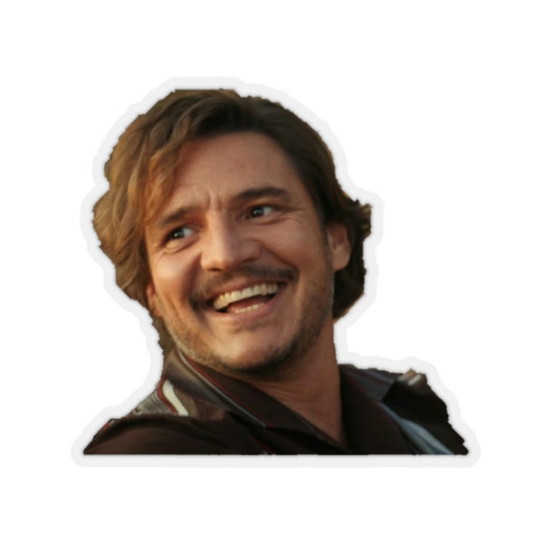 Pedro Pascal Meme Stickers - Etsy