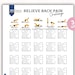 30 Day Relieve Back Pain Challenge | Digital Workout Guide | Workout ...