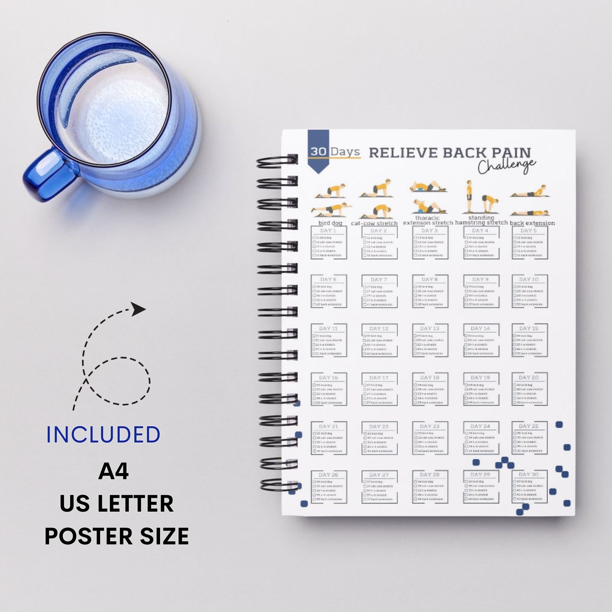 30 Day Relieve Back Pain Challenge | Digital Workout Guide | Workout ...