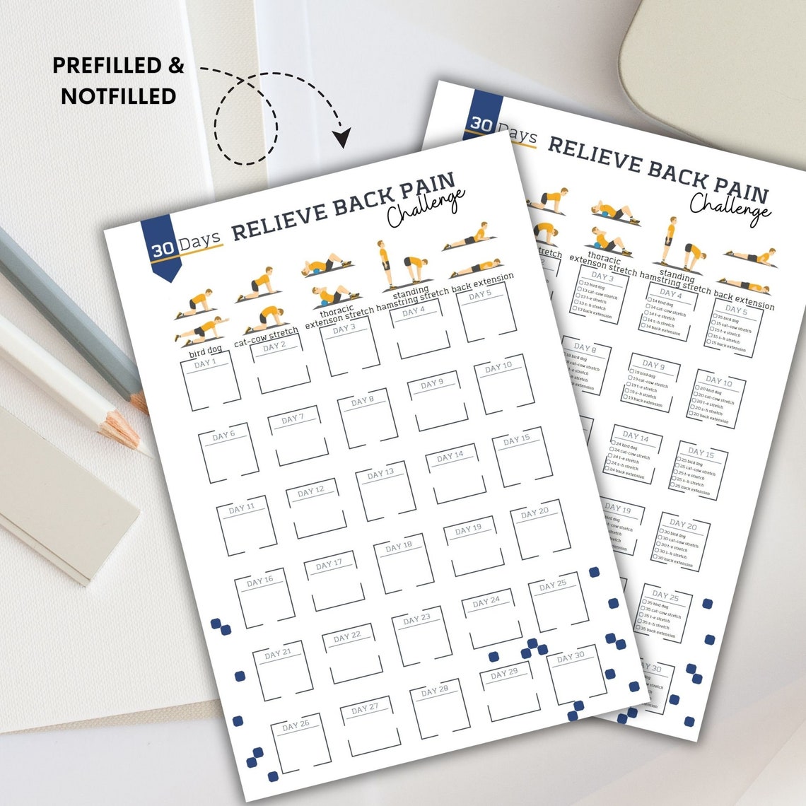 30 Day Relieve Back Pain Challenge Digital Workout Guide Workout ...