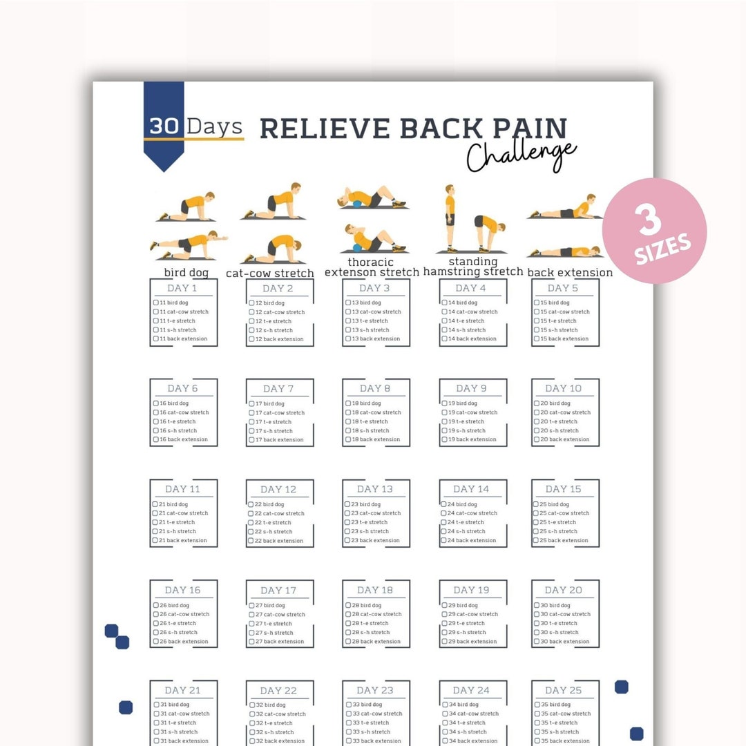30 Day Relieve Back Pain Challenge | Digital Workout Guide | Workout ...