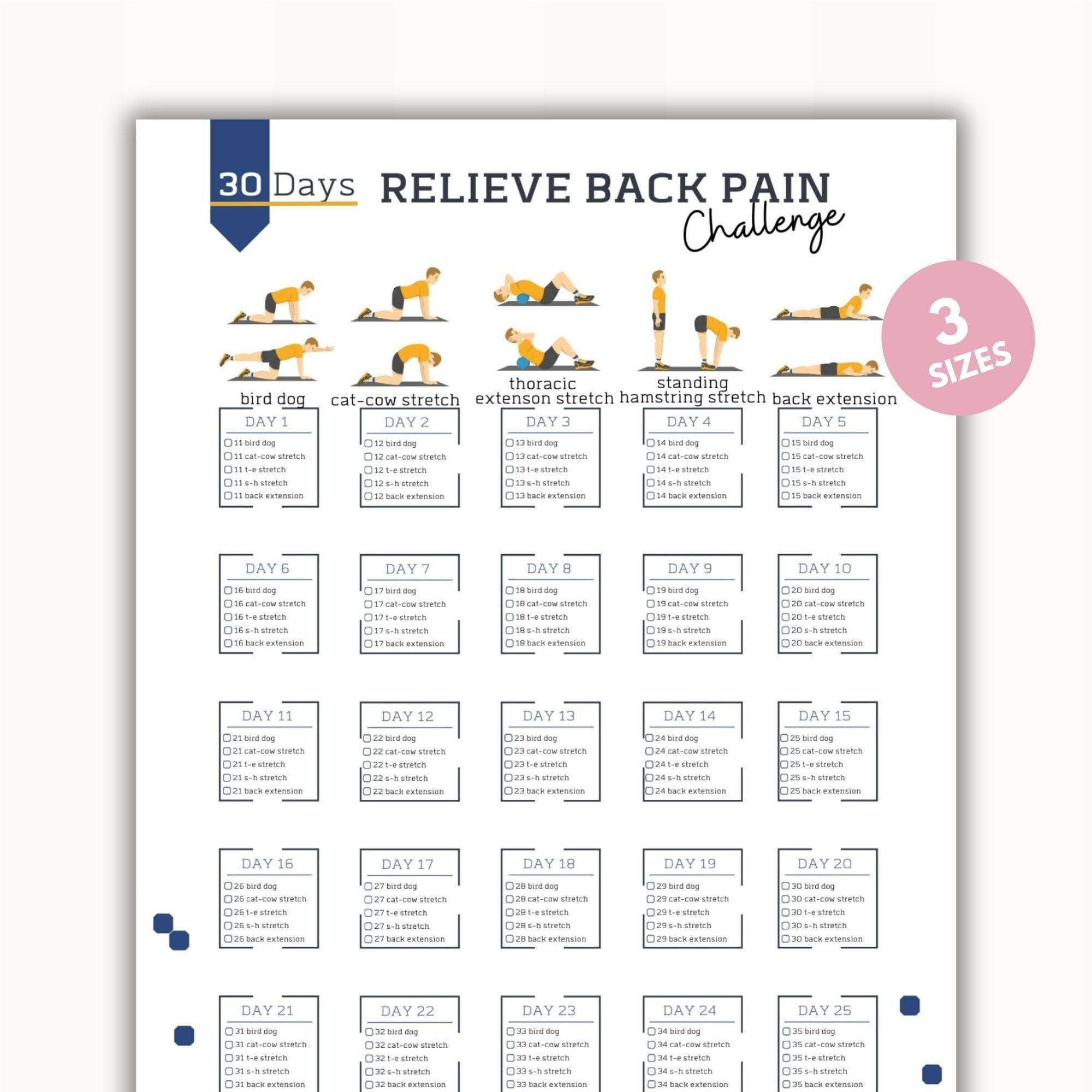 30 Day Relieve Back Pain Challenge | Digital Workout Guide | Workout ...