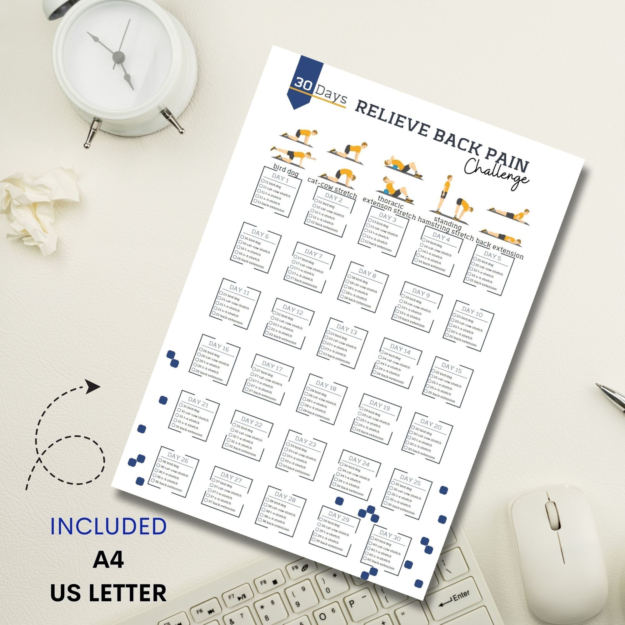 30 Day Relieve Back Pain Challenge Digital Workout Guide Workout ...