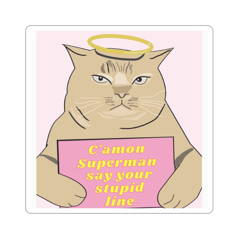 Pink Cat Meme Sticker Tame Impala Lyrics Trendy Humorous - Etsy