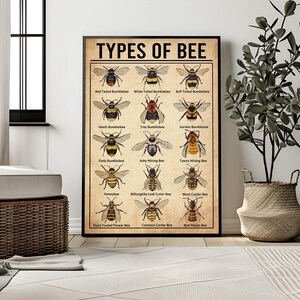 Unframed Types of Bees Vintage Poster, Bee Lover Gift, All About Bee ...