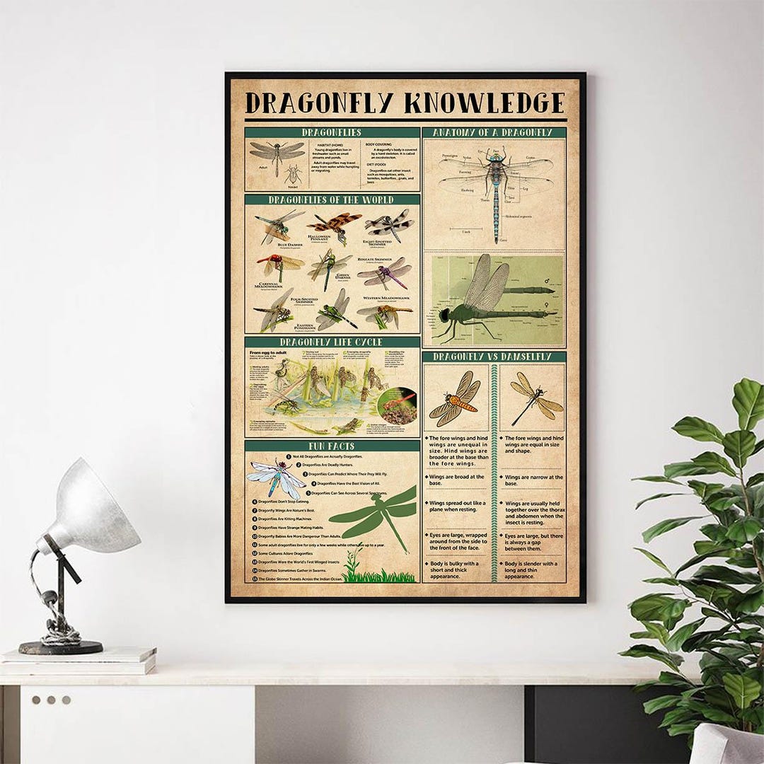 Dragonfly Knowledge Poster, Anatomy of a Dragonfly, Vintage Print ...