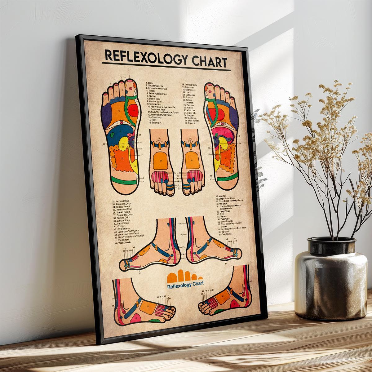 Reflexology Chart Poster, Massage Therapist Knowledge Poster, Massage ...