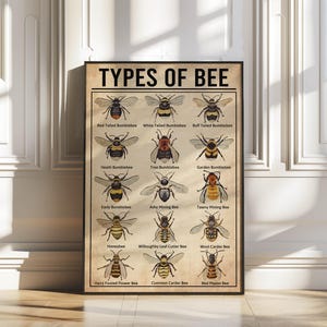 Unframed Types of Bees Vintage Poster, Bee Lover Gift, All About Bee ...
