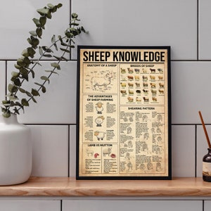 Sheep Knowledge Poster, Sheeps Print, Sheep Art, Sheep Decor, Sheep ...