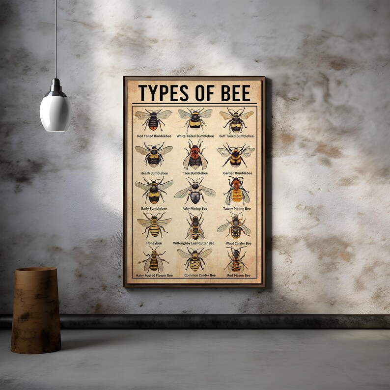 Unframed Types of Bees Vintage Poster, Bee Lover Gift, All About Bee ...