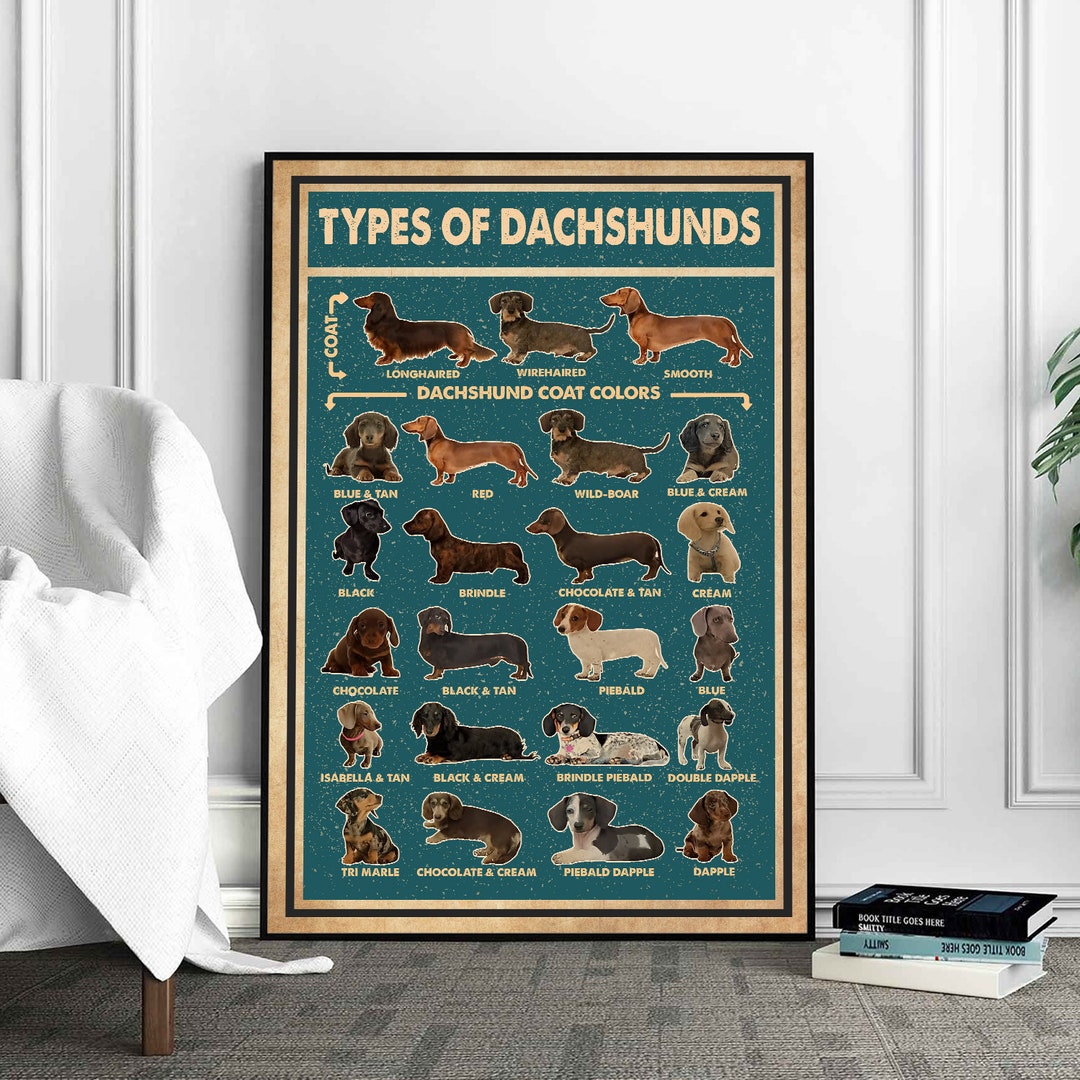 Types of Dachshunds Poster, Dachshund Poster, Dachshund Art Print ...
