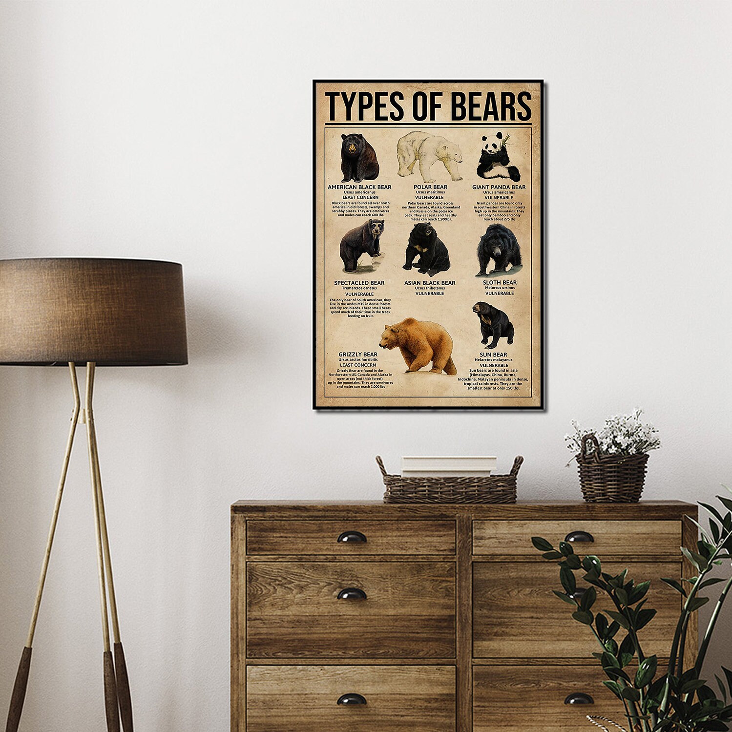 Types of Bears Poster, Bears Print, Bears Art, Bears Decor, Bears Wall ...