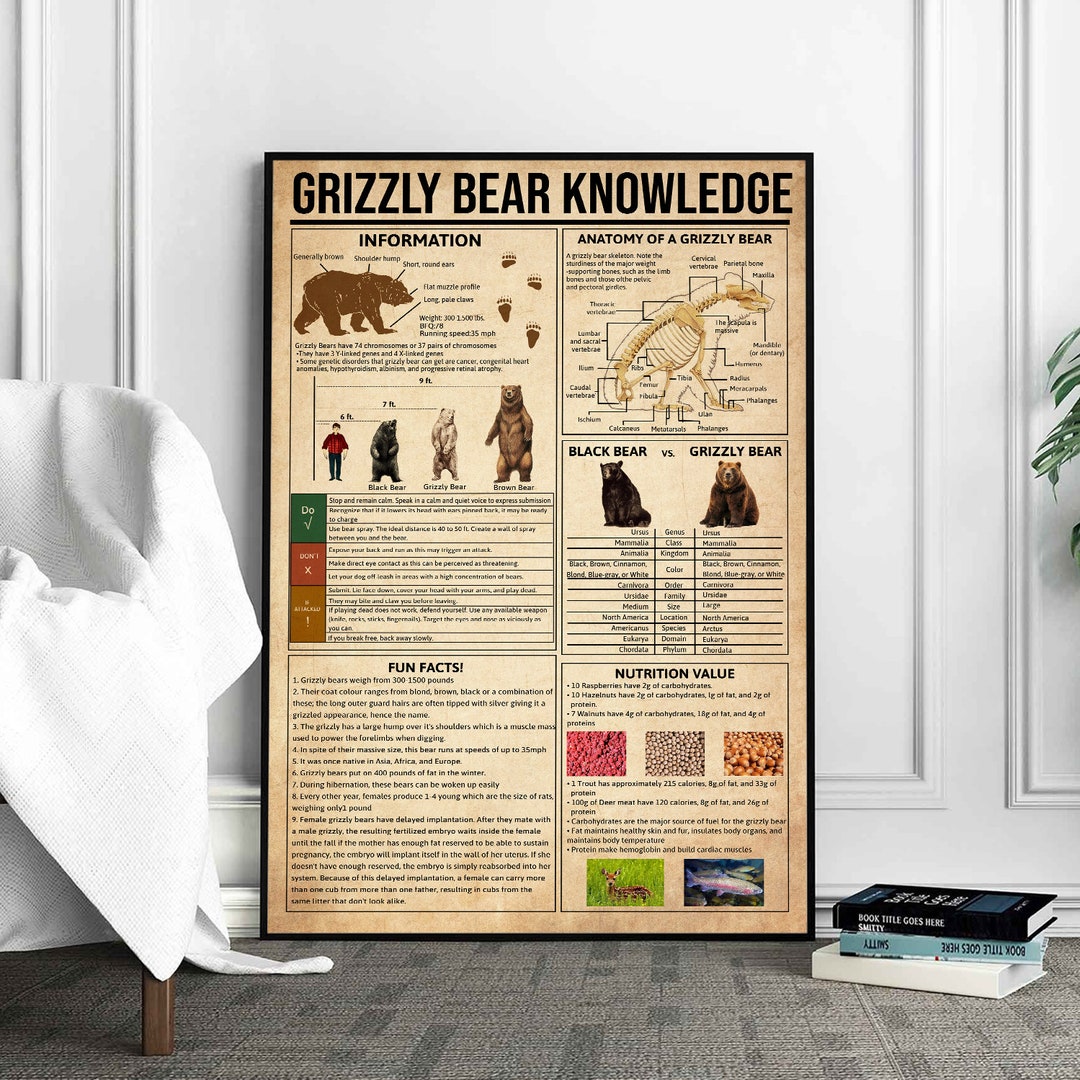 Grizzly Bear Knowledge Poster, Grizzly Bear Print, Bears Art, Bears ...