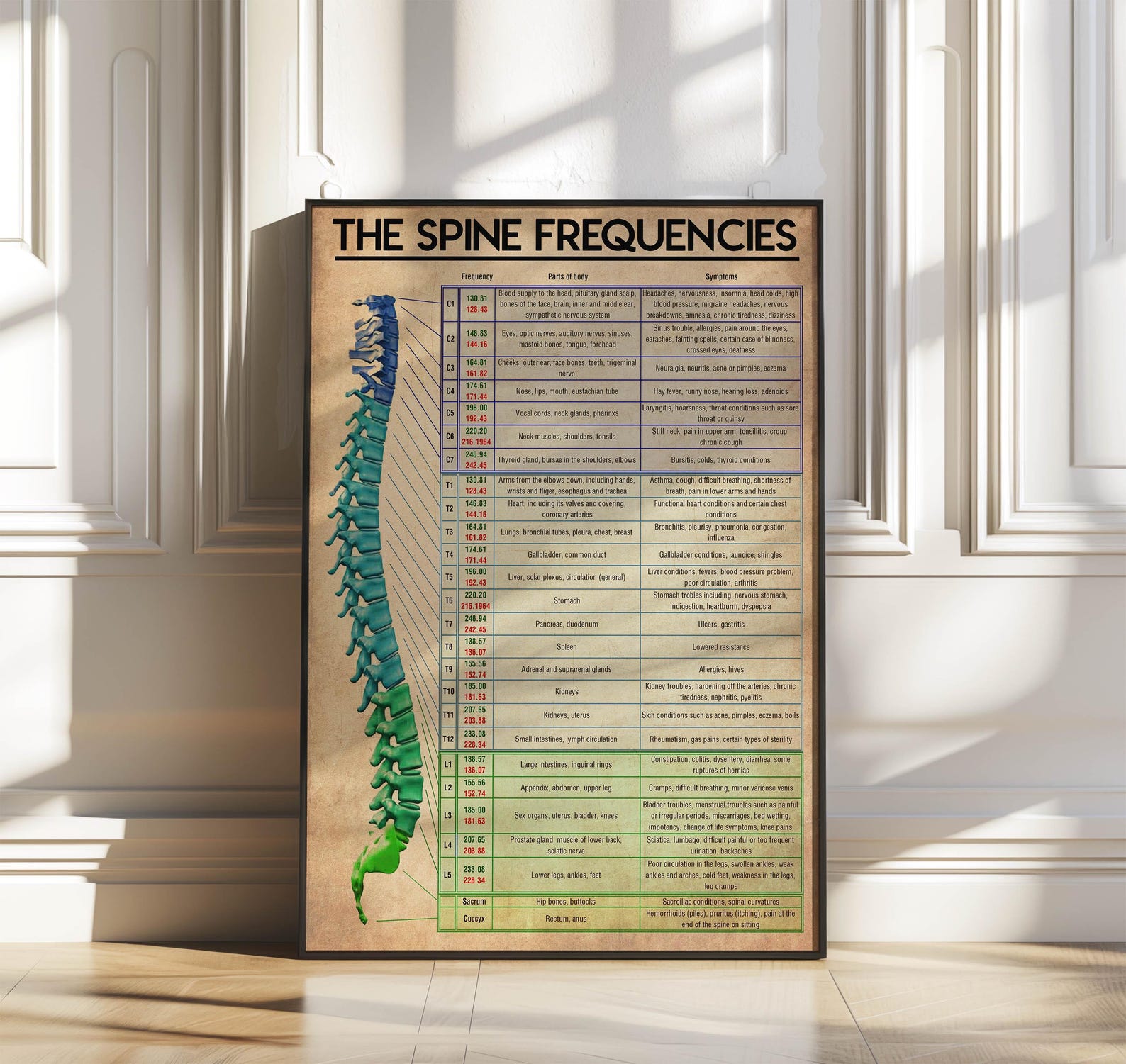Spine Frequencies Poster, Spine Anatomy Poster, Human Spine ...