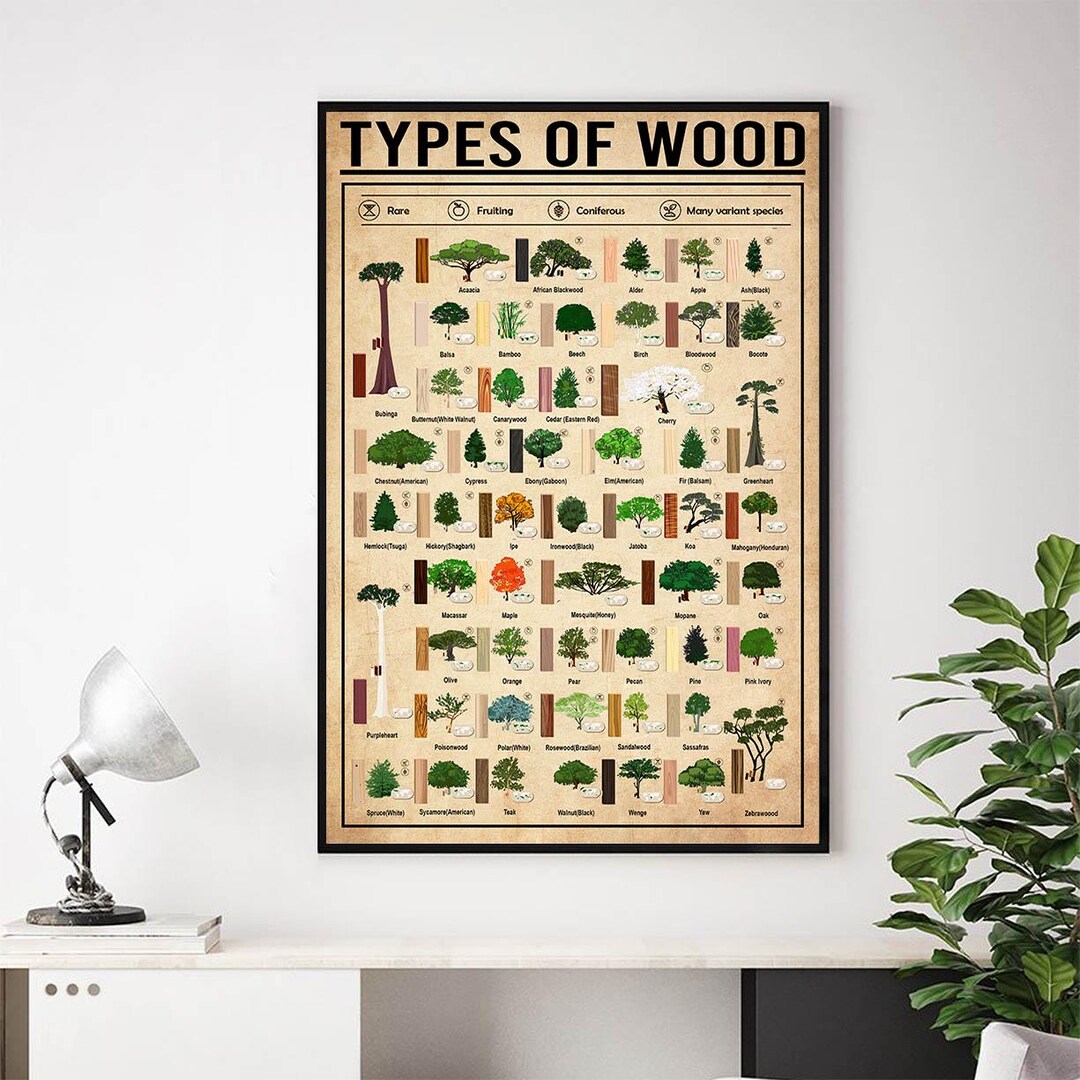 Types of Wood Poster, Wood Knowledge Poster, Capentry Knowledge Poster ...