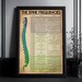 Chess Knowledge Poster, the Rules of Chess, History of Chess, A ...
