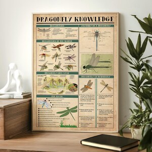 Dragonfly Knowledge Poster, Dragonfly Lover Gift, Dragonfly Poster, Vintage Knowledge Poster ...