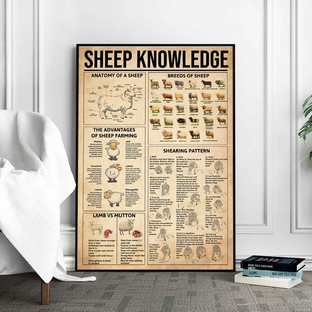 Sheep Knowledge Poster, Sheeps Print, Sheep Art, Sheep Decor, Sheep ...