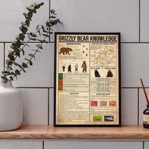 Grizzly Bear Knowledge Poster: Anatomy & Facts Art Print - Etsy