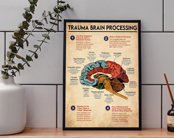The Human Brain Poster, Brain Anatomy & Psychology, Mental Health ...