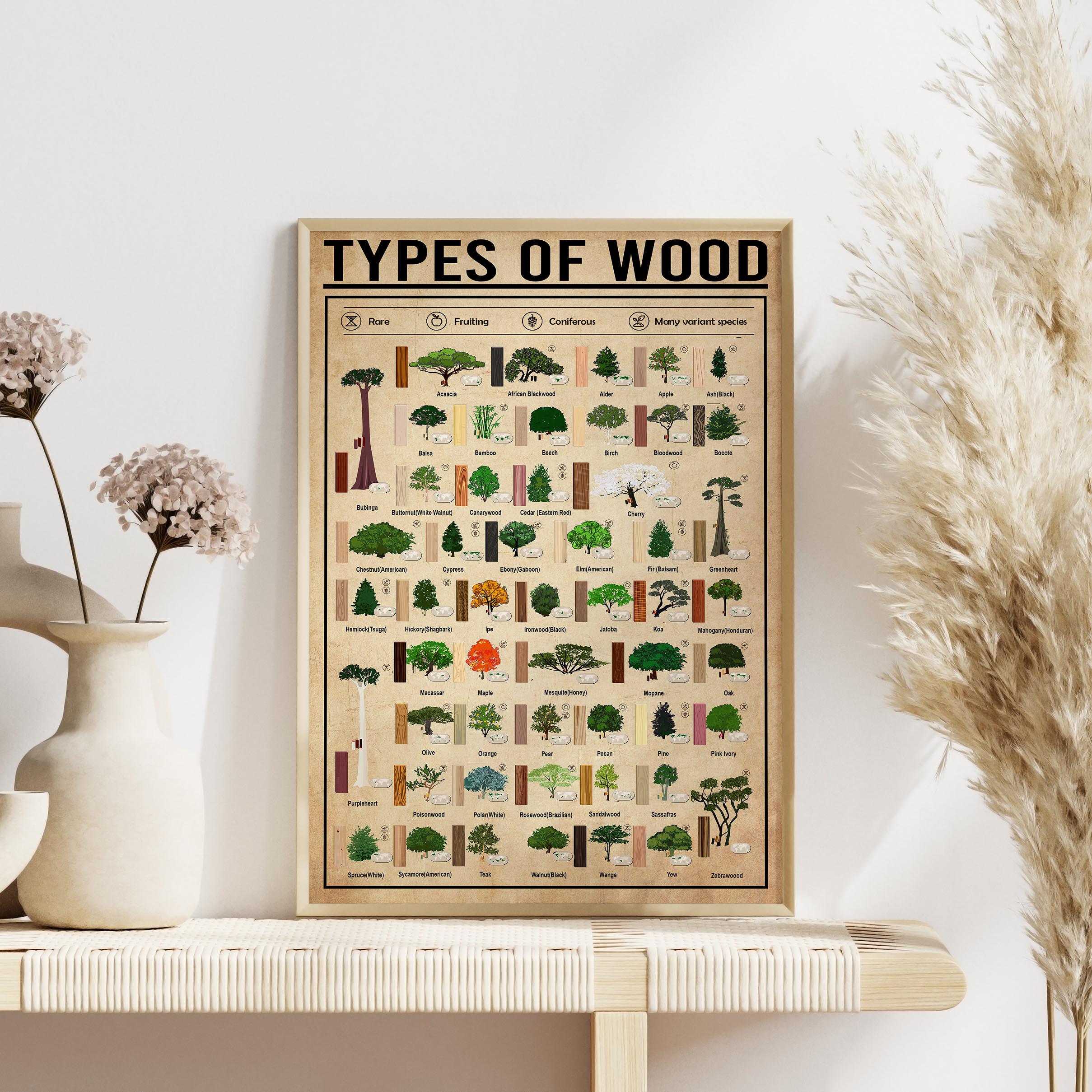 Types of Wood Poster, Wood Knowledge Poster, Capentry Knowledge Poster ...