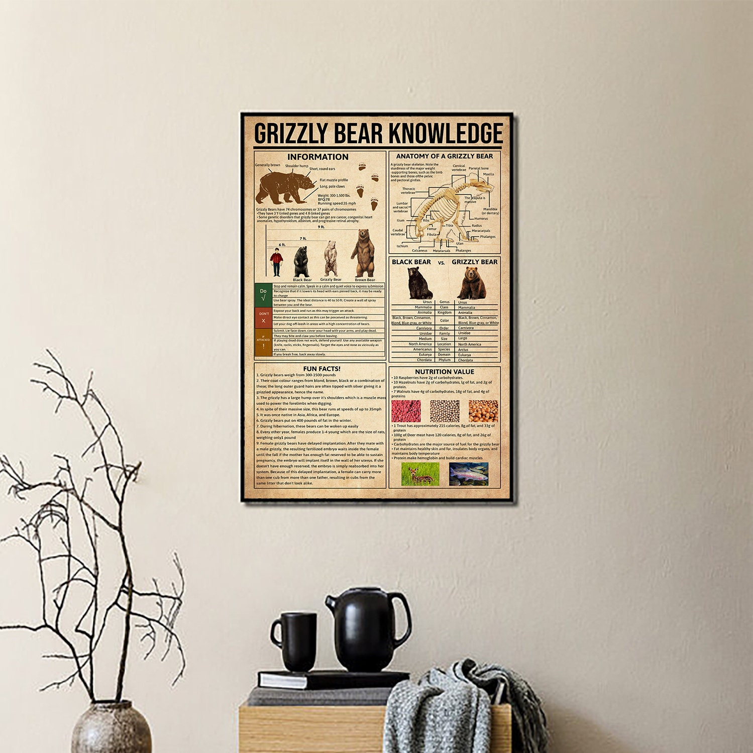 Grizzly Bear Knowledge Poster Grizzly Bear Print Bears Art - Etsy