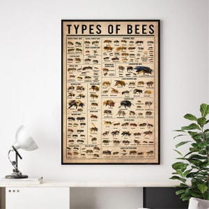 Types of Bees Vintage Poster, Bee Lover Gift, All About Bee, Vintage ...