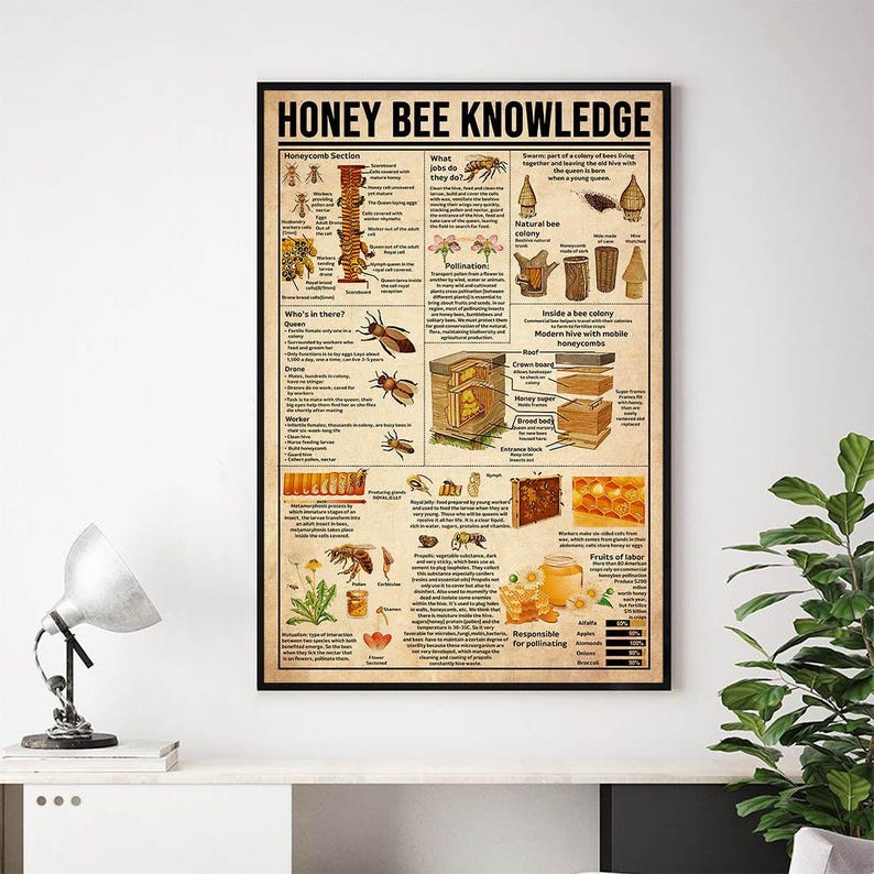Honey Bee Knowledge Poster, Bee Home Decor, Honey Bee Wall Decor, the ...