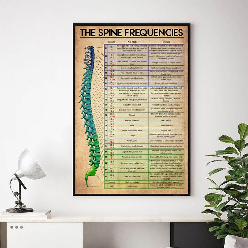 Spine Frequencies Poster, Spine Anatomy Poster, Human Spine ...