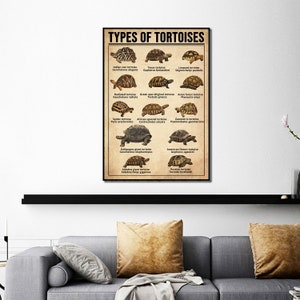 Types of Tortoises Poster, Tortoises Print, Tortoises Art, Tortoises ...