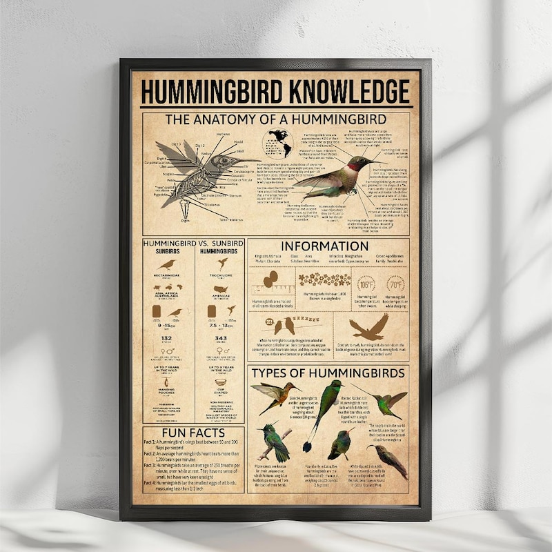 Hummingbird Artwork - Etsy