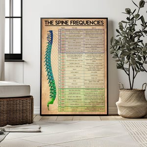 Spine Frequencies Poster, Spine Anatomy Poster, Human Spine ...