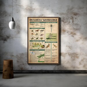 Dragonfly Knowledge Poster, Dragonfly Lover Gift, Dragonfly Poster ...