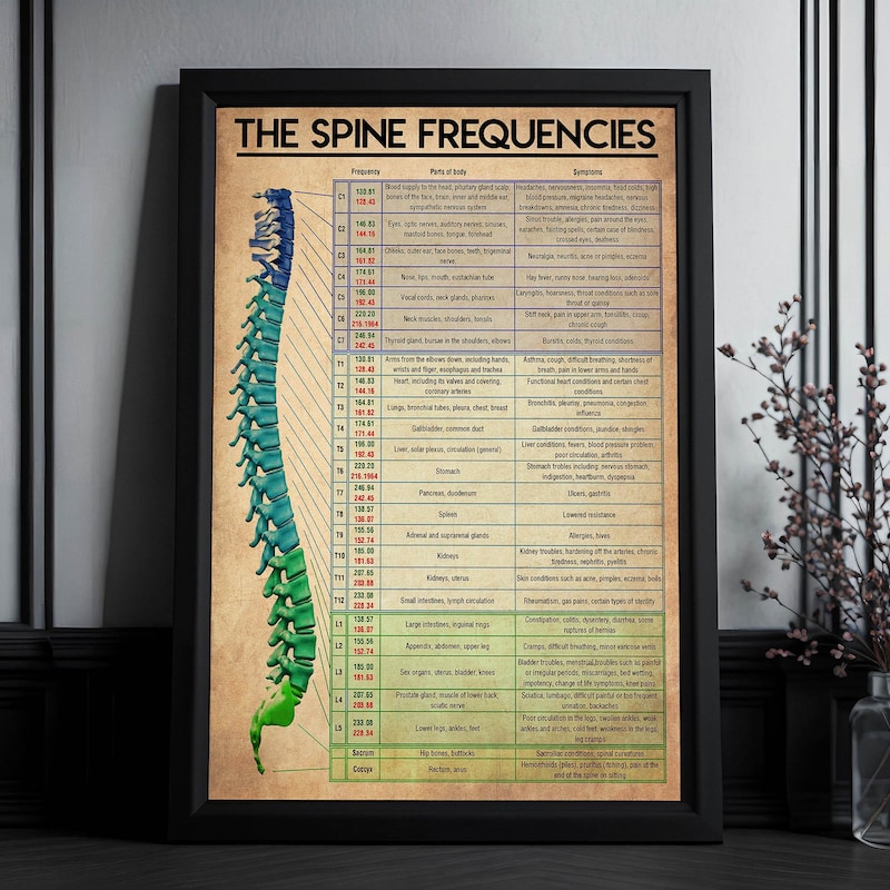 Spine and Nerve - Etsy