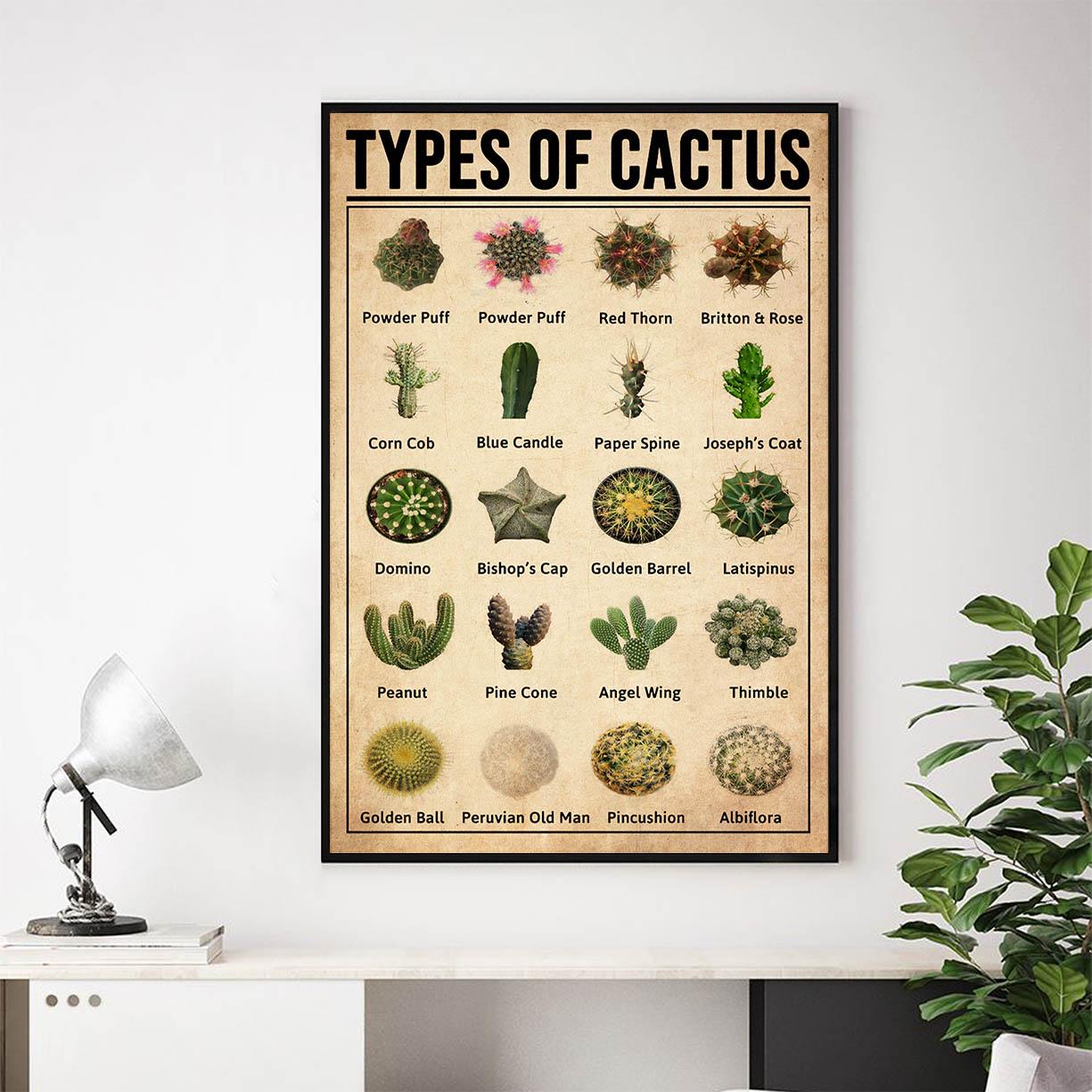 Vintage Cactus Poster, Desert Species Cactus Knowledge Poster ...