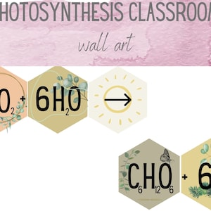 Photosynthesis Science Classroom Decor Wall Art Instant Download - Etsy