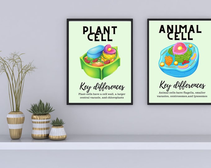 Animal Cell SVG and PDF Printable- a Homeschool or Classroom Science ...