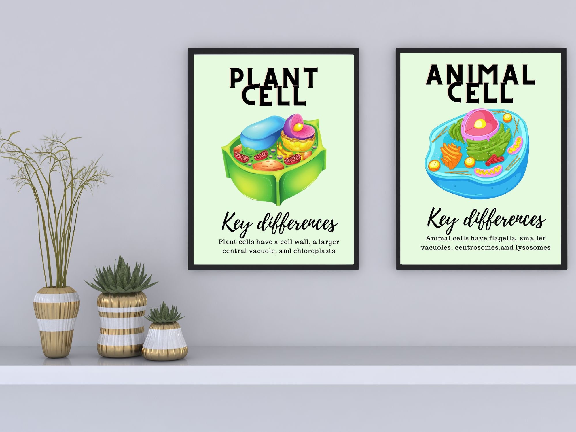 Plant Vs Animal Cell Wall Art Science Classroom Wall Decor Plant and ...