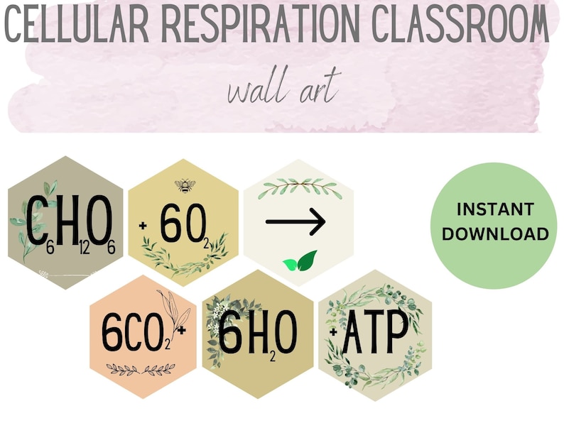 Cellular Respiration Classroom Wall Art Science Decor Instant - Etsy